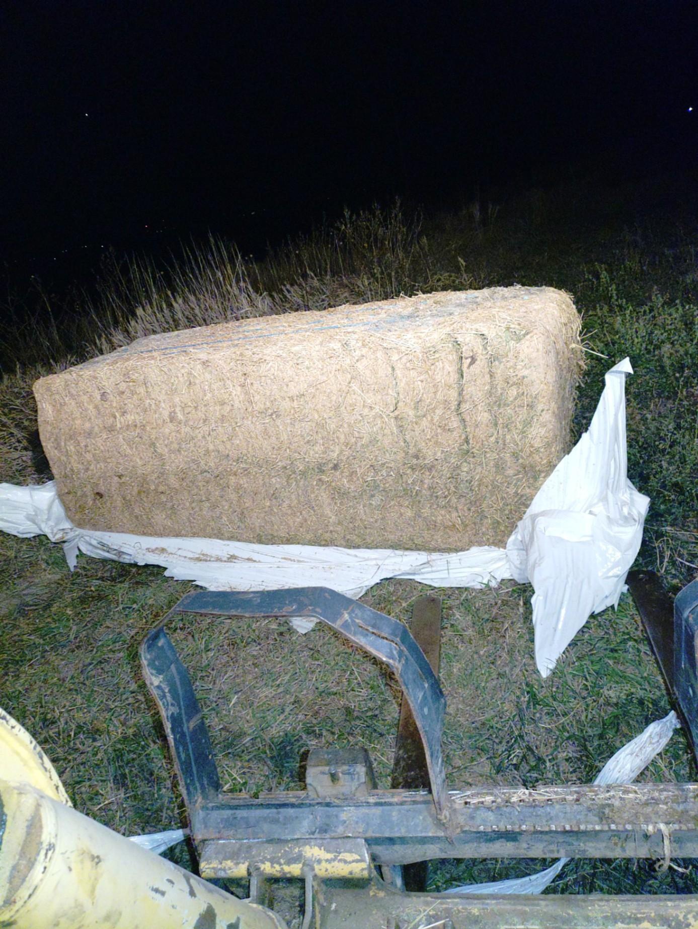 Large Square Alfalfa Bales for sale | Seneca, KS