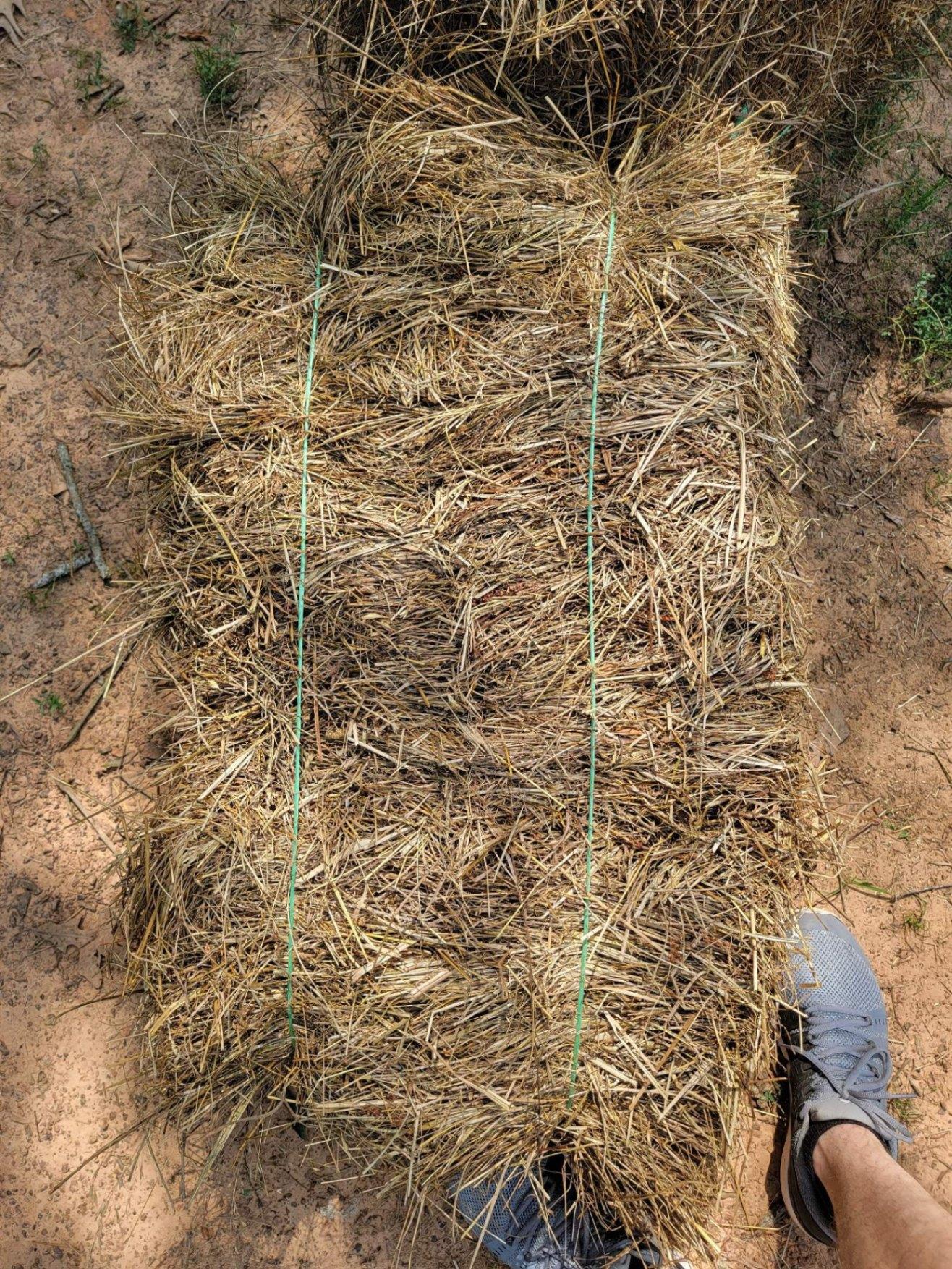 Small Square Coastal-Bermuda / Johnson Grass Bales for sale | Pickton, TX
