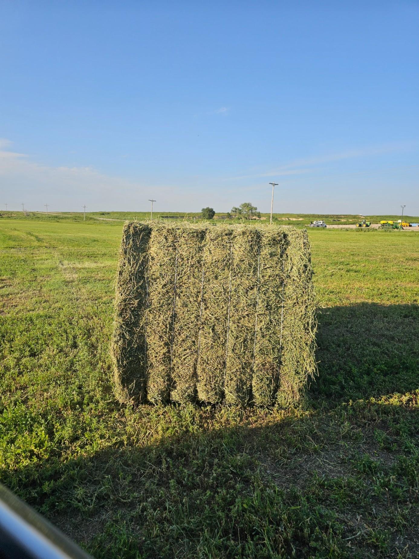 Large Square Alfalfa Bales for sale | Syracuse, KS