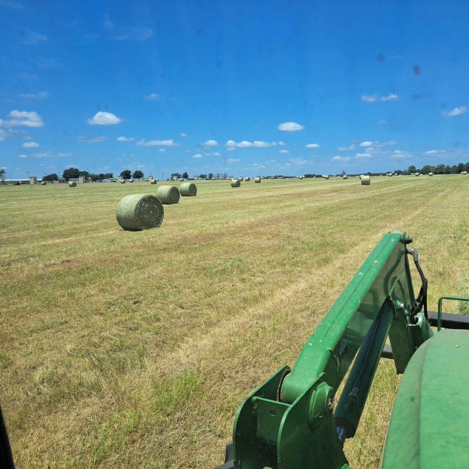 Large Round Mixed Grass Bales for sale | Driftwood, TX