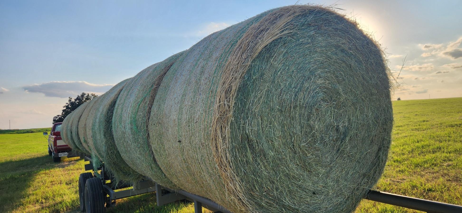 Small Round Bermuda mixed with Johnson Grass Bales for sale | Rockdale, TX