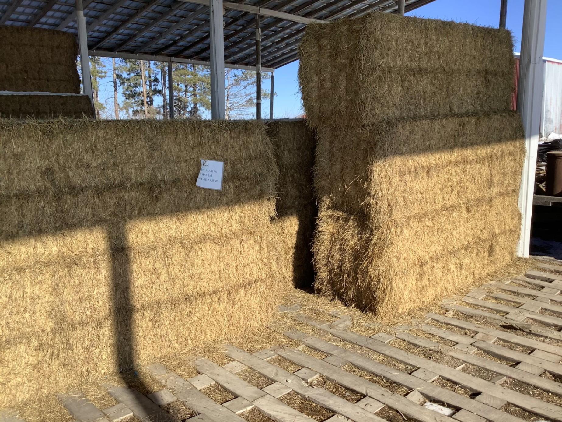 Large Square Alfalfa Bales for sale | Sabetha, KS