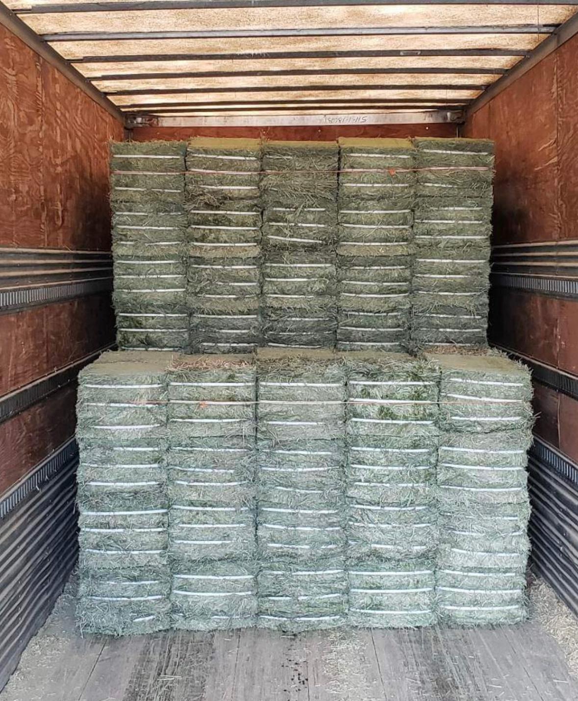 Small Square Pressed Alfalfa Bales for sale | Lincoln, CA