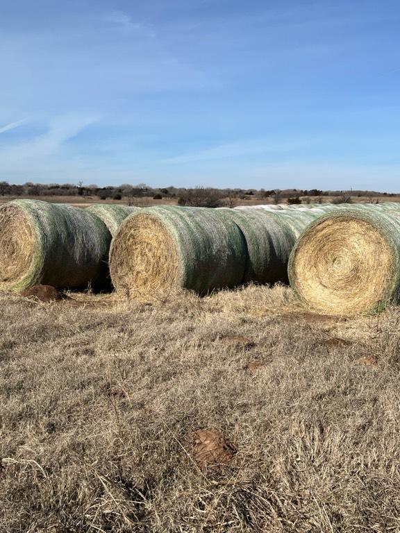 Large Round Bermuda Bales for sale | Omega, OK