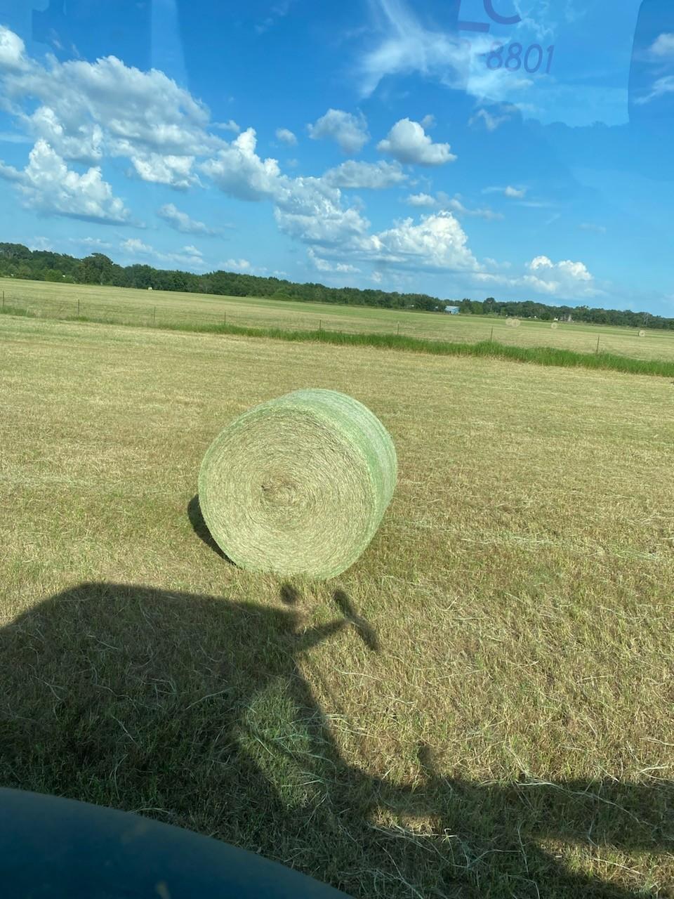 Large Round Coastal-Bermuda Bales for sale | Lindale, TX