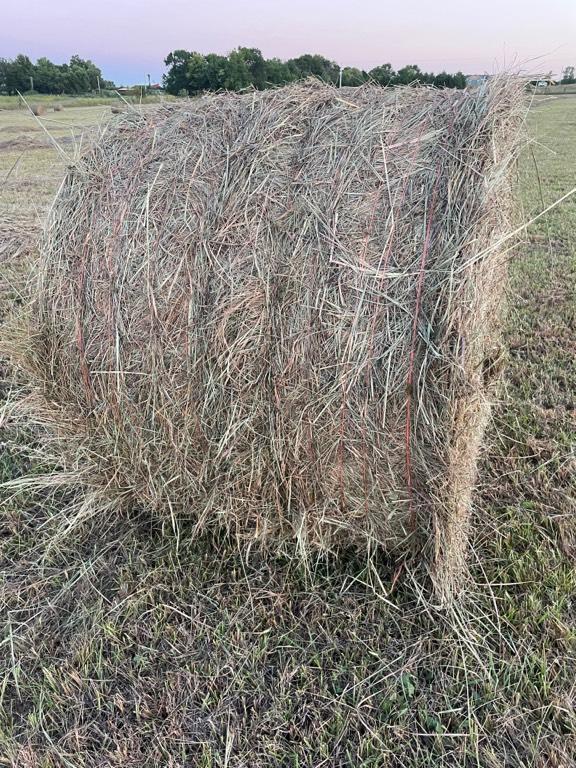 Large Round Prairie mixed with Mixed Grass Bales for sale | Auburn, KS