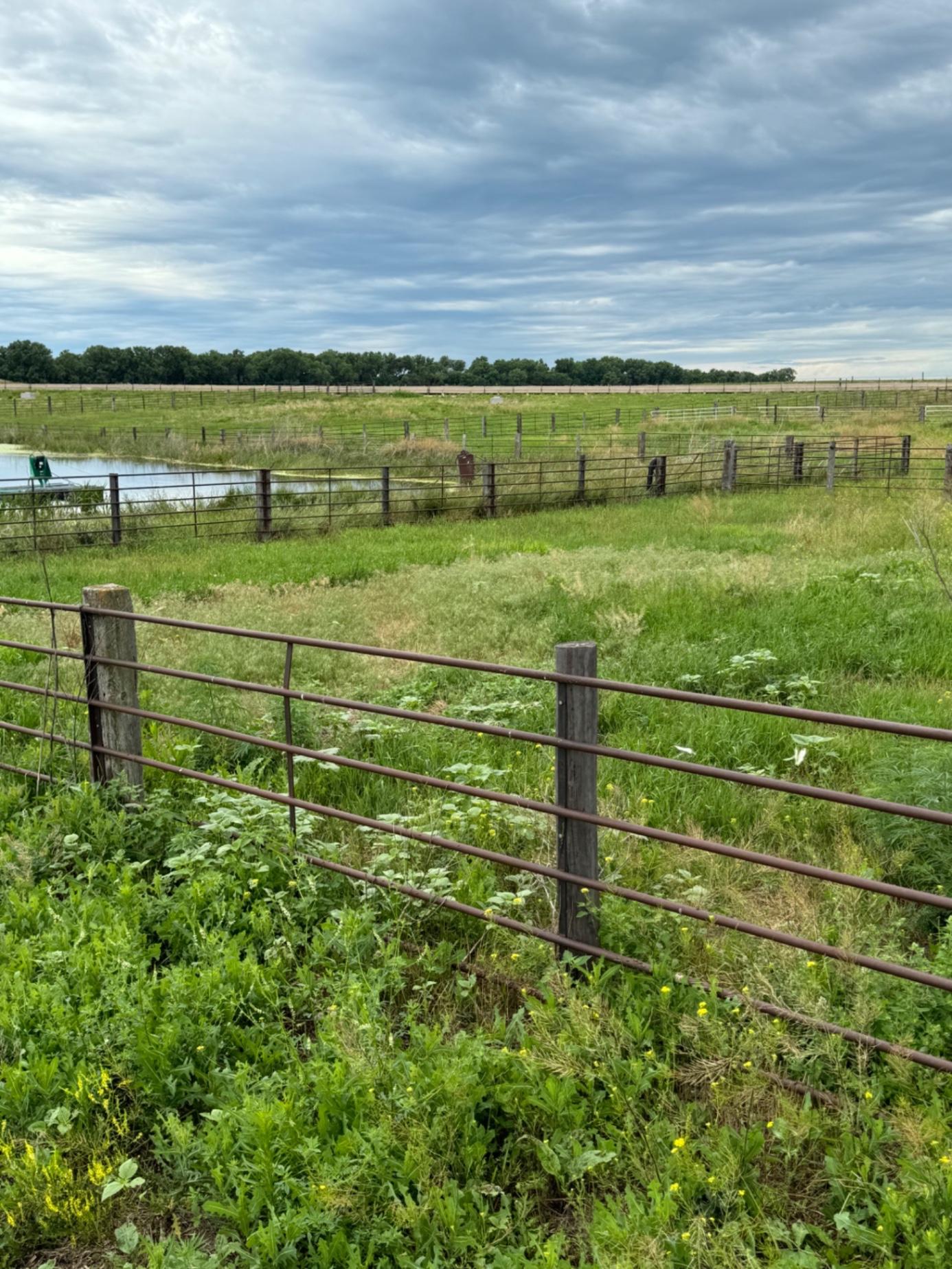 Feedlot for Sale! for sale | Bassett, NE