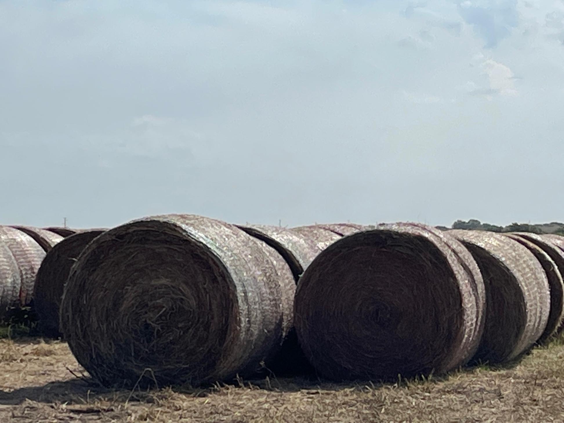 Large Round Mixed Grass Bales for sale | Wellington, KS
