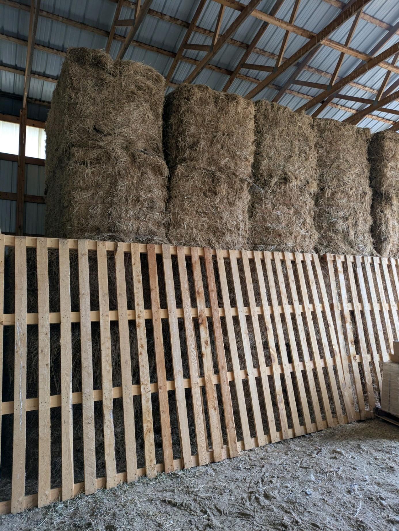 Large Square Alfalfa Bales for sale | Craig, CO