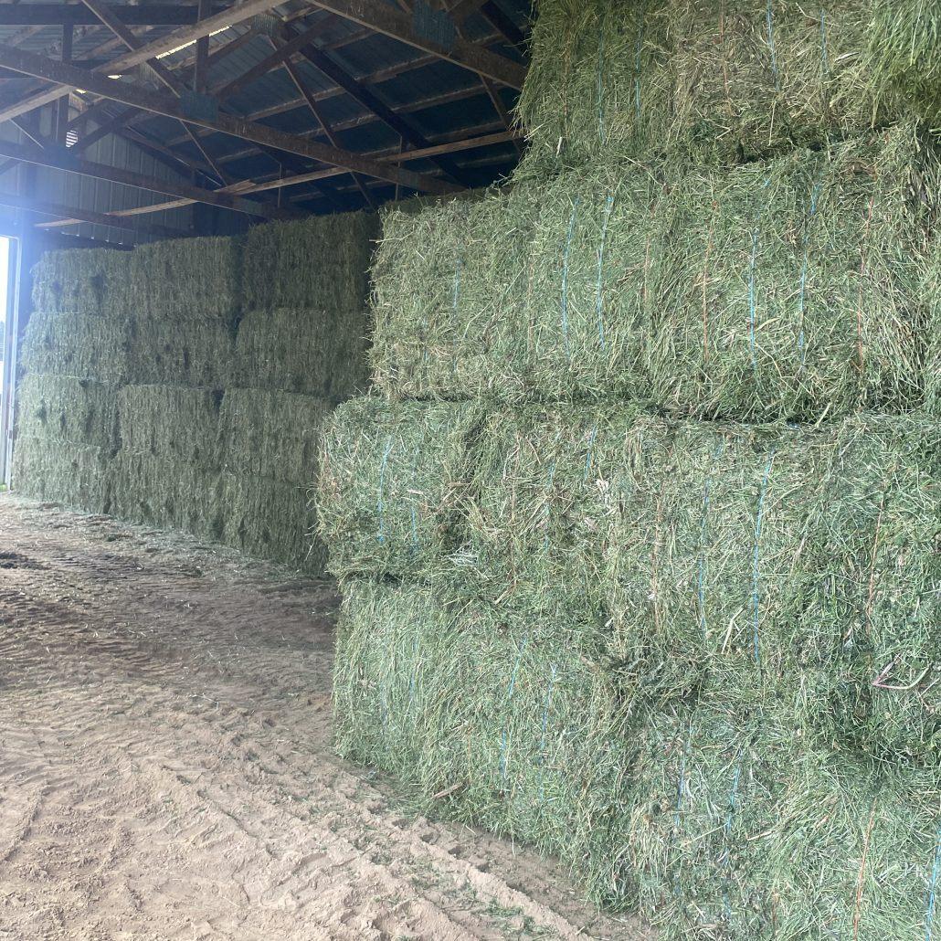 Large Square Alfalfa Bales for sale | Sitka, AK