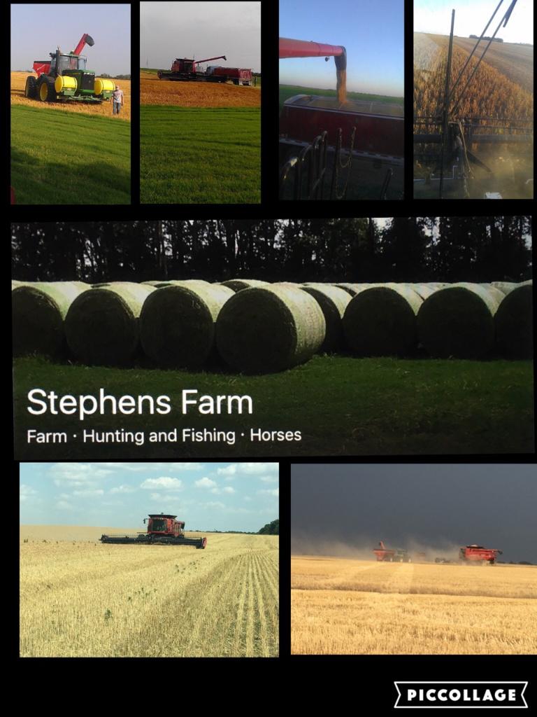 Stephens Farms