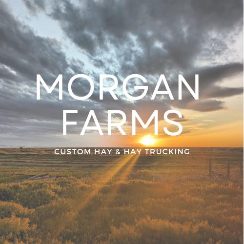 Morgan Farms