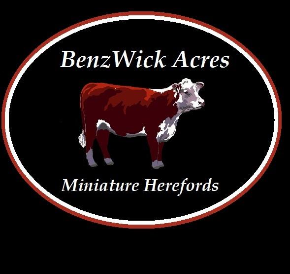 BenzWick Acres' Miniature Herefords