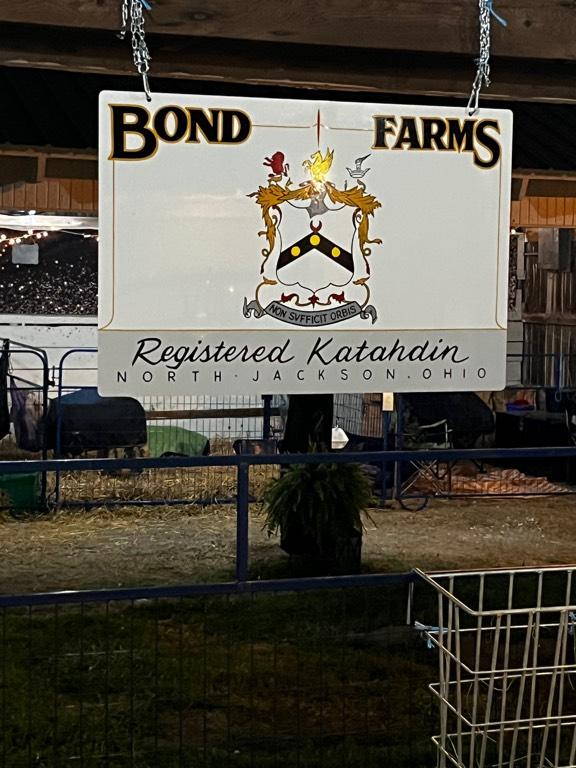 Bond Farms Registered Katahdin Sheep