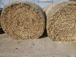 Large Round Corn Stalk Bales for sale | Randolph, KS