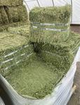 Small Square Pressed Alfalfa Bales for sale | Lincoln, CA
